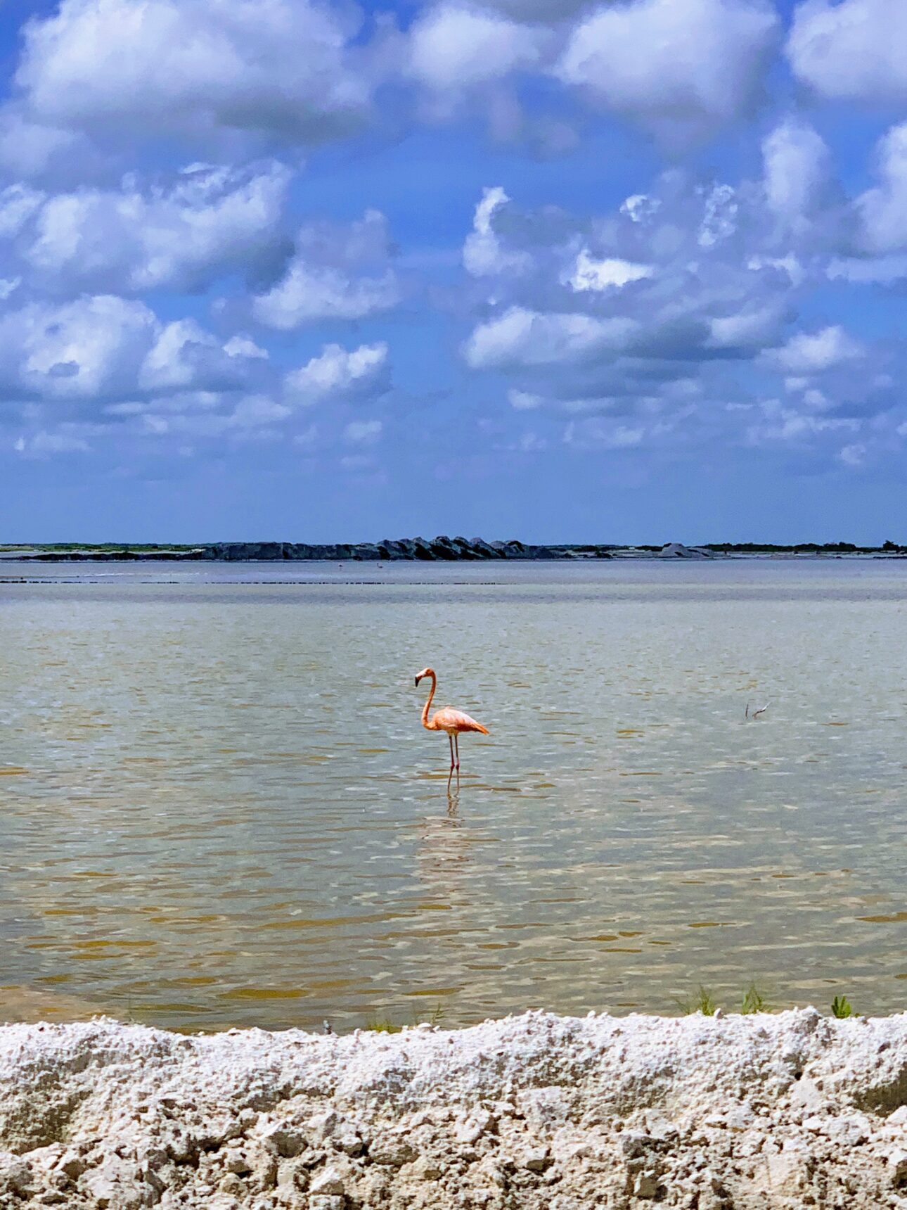 Las Coloradas Yucatan: Complete Guide to Mexico's Pink Lakes