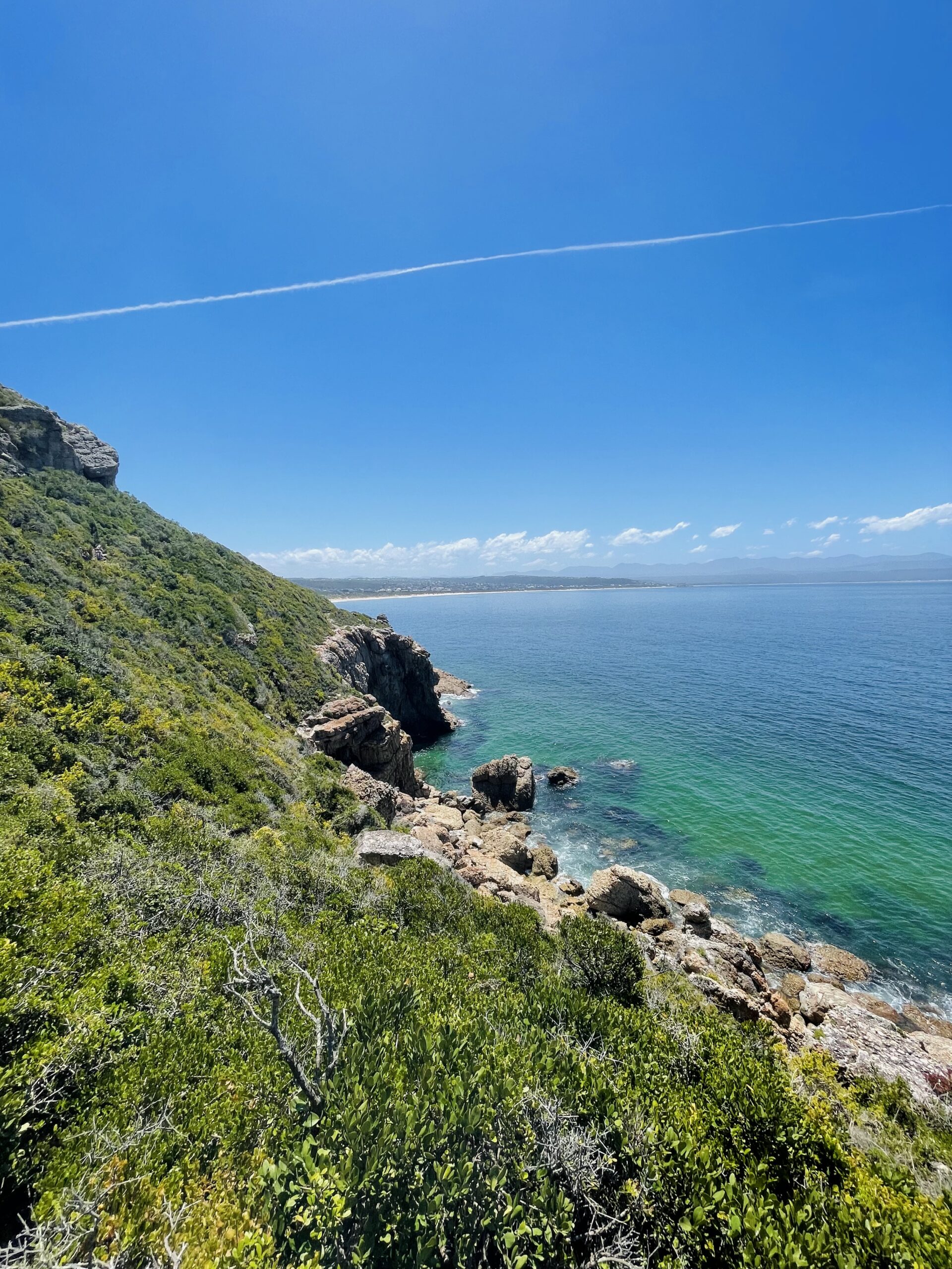 Robberg Nature Reserve: the Ultimate South African Ecotourism Destination