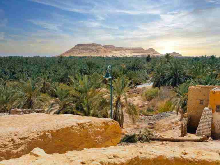 Siwa Oasis in Egypt: Complete Travel Guide for an Unforgettable Desert ...