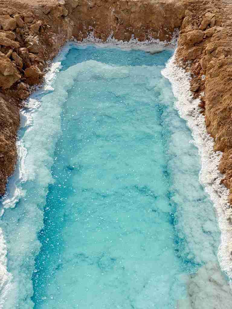 Siwa Salt Lakes: Complete Guide to Egypt's Magical Healing Waters